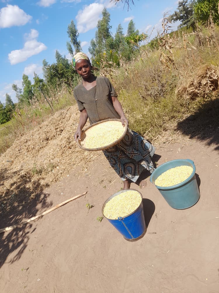 Green-Revive - Improve Your Farming Livelihood | Agricultural Solutions Malawi